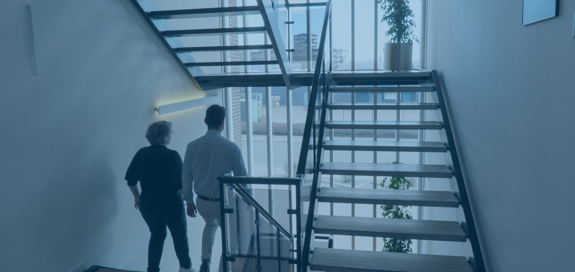 Purpose and Values | TERMA